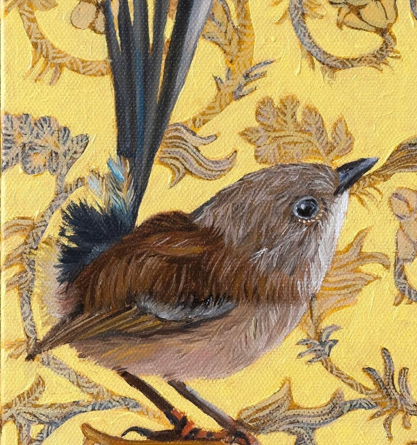 Fairy Wren Arabesque limited edition fine art print – Fiona Smith Art ...